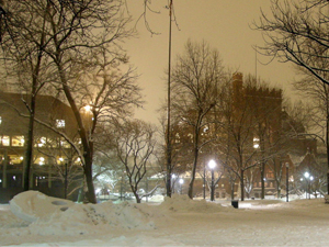 Snow | University of Pennsylvania Facilities and Real Estate Services